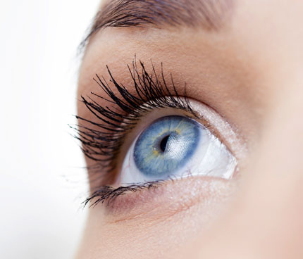 Long Vision Center - Prosper, TX - Sherman, TX